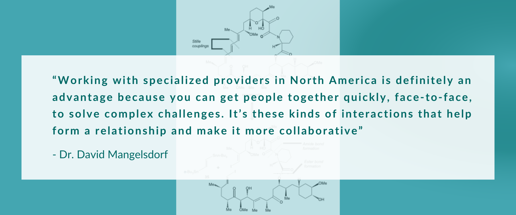 Blog: How to Overcome Challenges in Complex Natural Product Synthesis